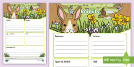 KS2 Fox Fact File Template (Teacher-Made) - Twinkl