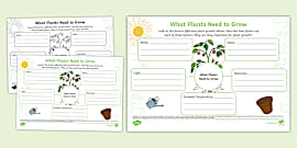 What Do Plants Need To Grow (teacher made) - Twinkl