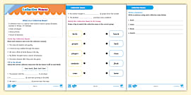 Collective Nouns PowerPoint | Teaching Resource Twinkl