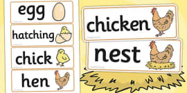 Life Cycle Of A Chicken Photo Cut Out Pack (teacher made)