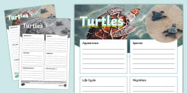 Tortoise Fact File Template (teacher made) - Twinkl