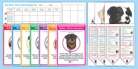 Guided Reading Skills Task Cards - Guided Reading Lesson KS2