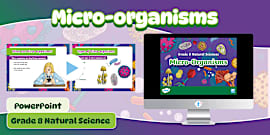Microorganisms and The Body Display Posters