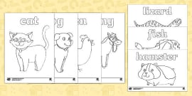 Spring Colouring Pages | Primary Resources (Teacher-Made)