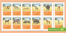 Diere van Afrika Plakkaat (teacher made) - Twinkl
