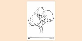 Free Printable Tree Colouring Page - Primary School - Twinkl