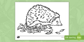 Adorable Hedgehogs in Autumn Colouring Cards | Twinkl Party