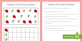 Strawberry Life Cycle Word Mat - strawberries, strawberry plants ...