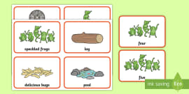 Frog Templates with and Lily Pads - Primary Resources