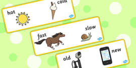 'Show Me the...' Basic Concept Cards Activity (teacher made)