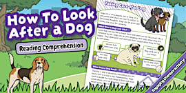 KS1 All About Dogs Differentiated Reading Comprehension Activity