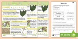 KS2 Easter CfE Differentiated Reading Comprehension Activities