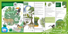 The Tribes of the Rainforest Fact File Worksheet - Twinkl