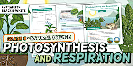Grade 8 Natural Science Study Notes Term 1: Life and Living