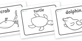 FREE! - Word Mat (Images) to Support Teaching on Commotion In The Ocean