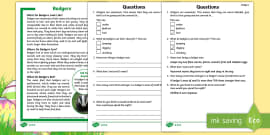 Hedgehogs Reading Comprehension (Hecho por educadores)