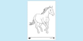 FREE! - Pinto Horse Colouring Page | Colouring Sheets