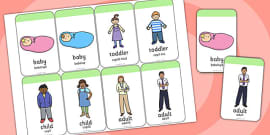 Stages of Growth Flash Cards - KS1 (teacher made) - Twinkl