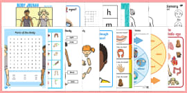 Body Parts In Italian Labelling Activity | Twinkl - Twinkl