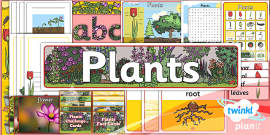 Science: Plants: How Do Plants Grow Year 1 Lesson Pack 6