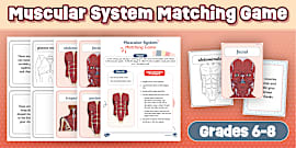 Muscular System Reading Passage Activity