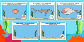 Under the Sea Playdough Mats (Teacher-Made)