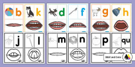 Twinkl Phonics: Long and Short Vowel Speech Sounds Cards Display