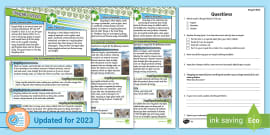 LKS2 The Queen's Platinum Jubilee Comprehension Activity