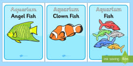 Aquarium Worksheets – Drawing and Answer Sheets – Printable