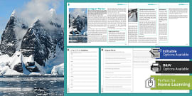 Elon Musk Comprehension (teacher made)