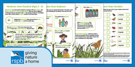 FREE! - Minibeast Facts for Kids Investigation Worksheets