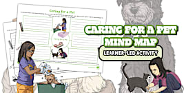 Gravitational Force Mind Map - Twinkl science
