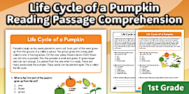 First Grade Penguins Reading Comprehension Worksheet