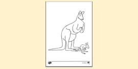 FREE! - Baby Kangaroo (Joey) Colouring Sheet | Colouring Sheets