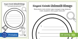 Oonobumba - Ordering Activity (teacher made) - Twinkl