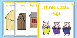 SNOT Display Poster (teacher made) - Twinkl