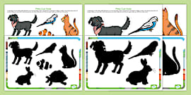 Under the Sea Picture and Shadow Matching Activity | Twinkl