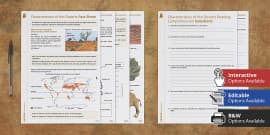 Deserts Mind Map, Deserts Information (teacher made)