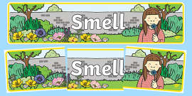 Five Senses Display Posters - Smell, sight, sound, hearing