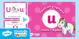 Pentre'r Wyddor: Popeth am y Llythyren y (teacher made)