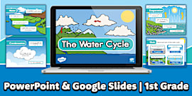 The Water Cycle PowerPoint & Google Slides for 6th-8th Grade