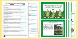 Forest and Woodland Activity Pack (Teacher-Made) - Twinkl