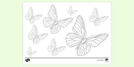 FREE! - Flower and Butterfly Mindfulness Colouring Sheet- Twinkl