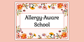 Allergy Aware Zone Display Poster - Twinkl