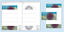 Mammals Non-Chronological Report Template (Lehrer gemacht)