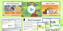 Micro-Organisms Board Game (teacher made) - Twinkl