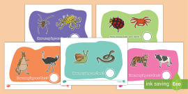 👉 How Many Pairs? Animal Legs Posters (teacher made)