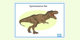 Dinosaur Posters | Display Resources | KS1