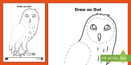 How to Draw an Owl - Primary Resources (teacher made)