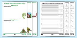 Template for Learning Stories | NZ Resource - Twinkl